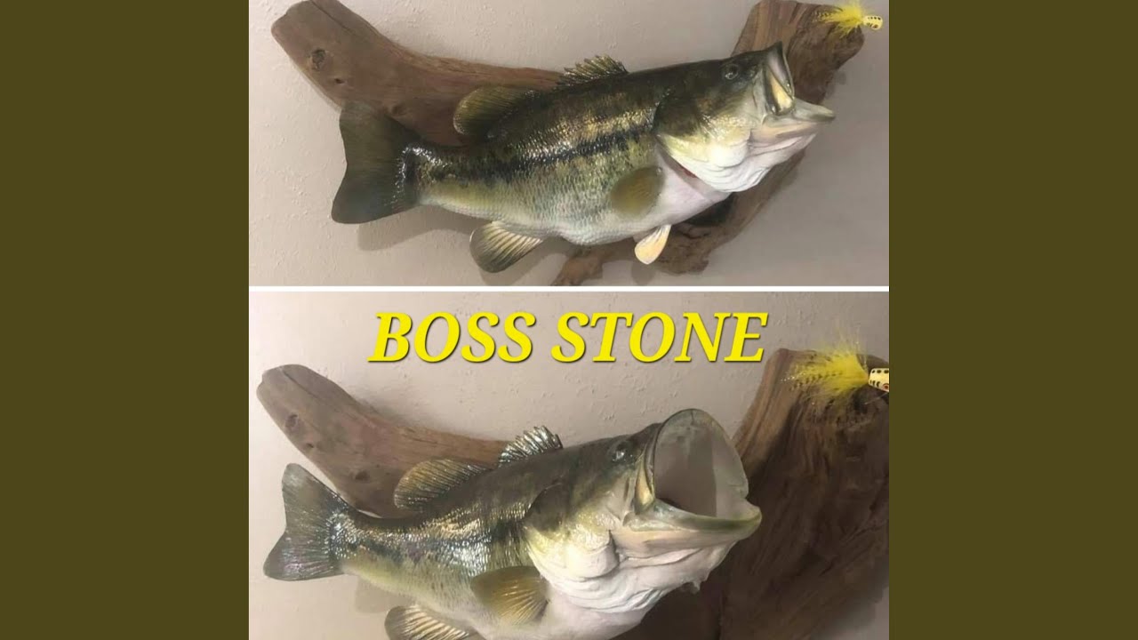 YOU CAN'T OUT FISH ME - YouTube