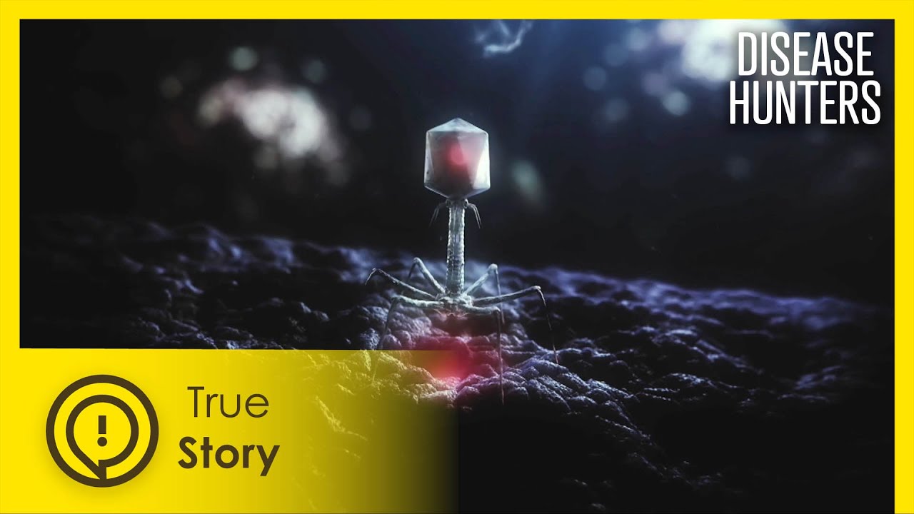 Battle Against Bacteria | Disease Hunters 2/3 | True Story Documentary ...