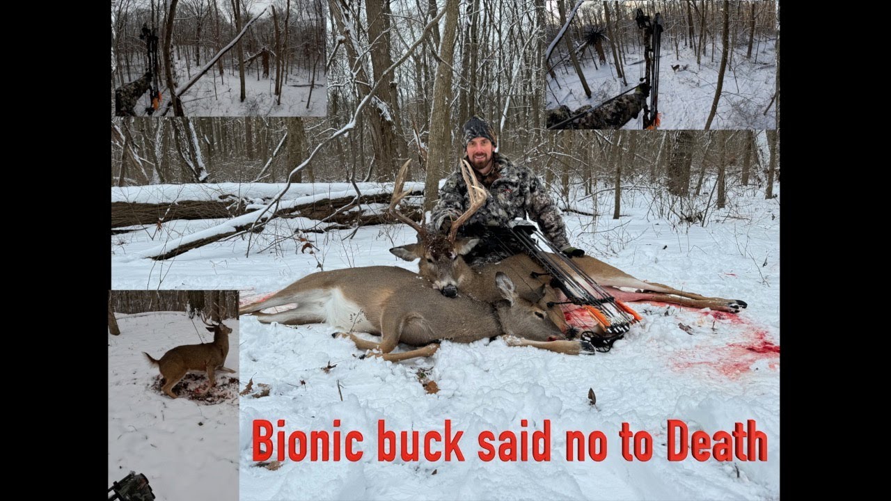 QAD EXODUS DOUBLE DEATH PUNCH ! : Big buck and his chick hit the dirt ...