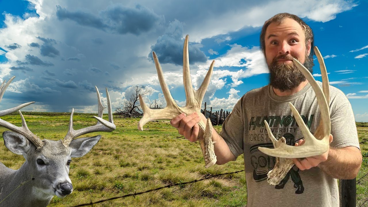 Giant Kansas Sheds and Bully Buck! - YouTube
