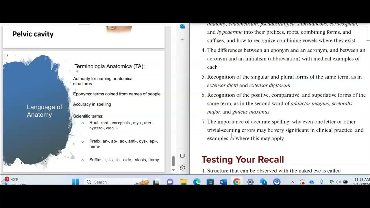 Chapter 1 C Anatomy Review - YouTube