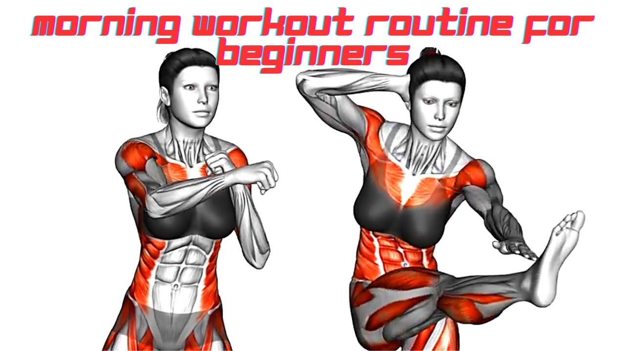 Morning Workout Routine for Beginners | Health Fitness - YouTube