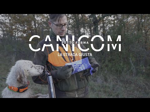 HUNTING WITH CANICOM | Sotto Ferma | La Strada Giusta