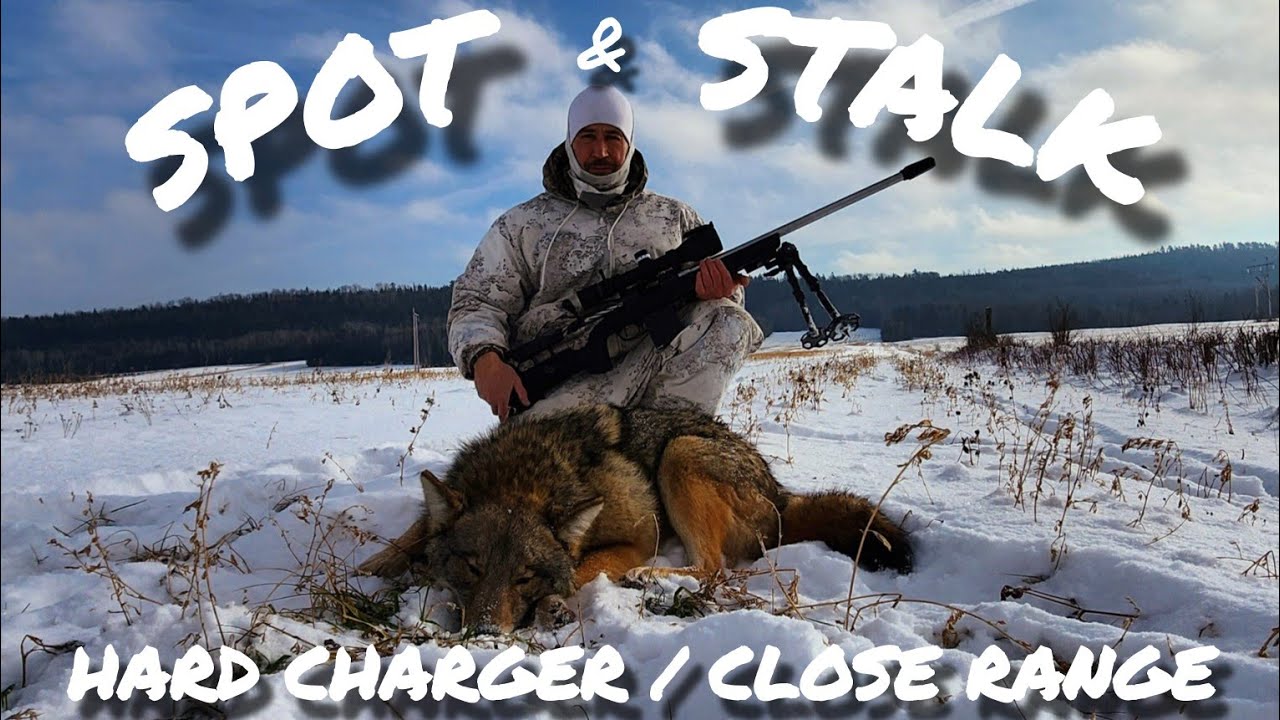 Spot & Stalk - Hard charger / Close range - YouTube
