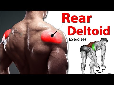 How To Grow Your Rear Delts Fast (5 Exercises That You Are Not Doing ...