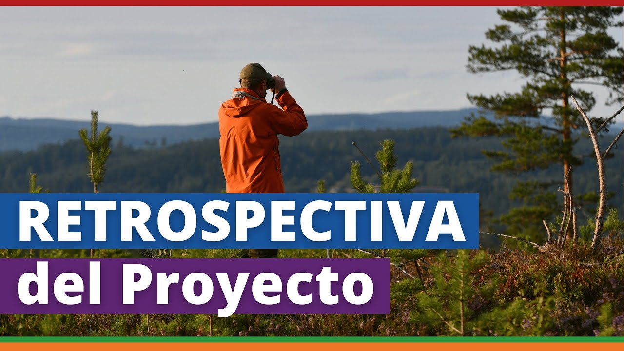 Reunión de RETROSPECTIVA del PROYECTO 🪁 Metodologías Ágiles | SCRUM ...