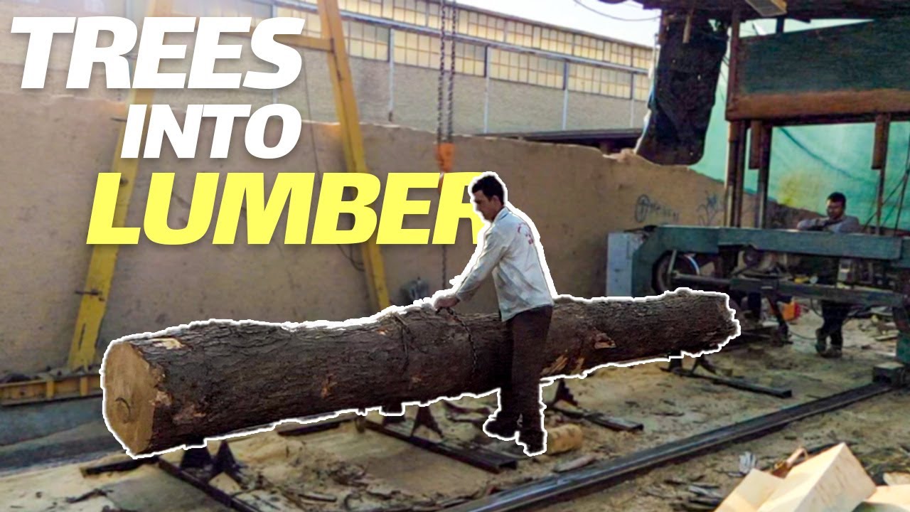 Process of Turning Giant Wood Into Lumber | Amazing Wood Cutting ...