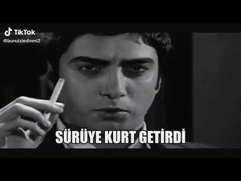 Polat Alemdar