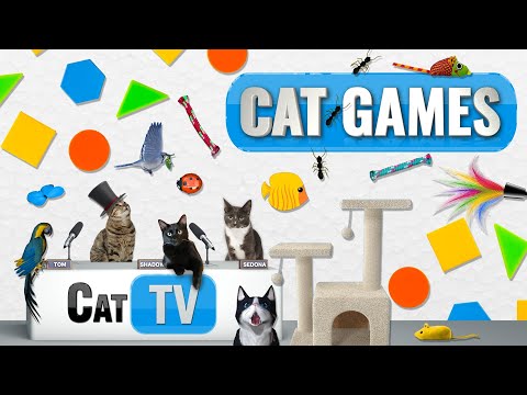 CAT Oyunları | Ultimate Cat TV Derlemesi Cilt 68 | 2 SAAT 🐝🐞🦋🦎🦜🐜🐭🧵