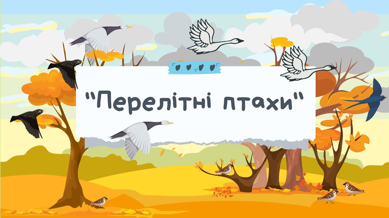 ПЕРЕЛІТНІ ТА ЗИМУЮЧІ ПТАХИ ДЛЯ ДІТЕЙ РОЗВИТОК МОВЛЕННЯ ГРА «ХТО