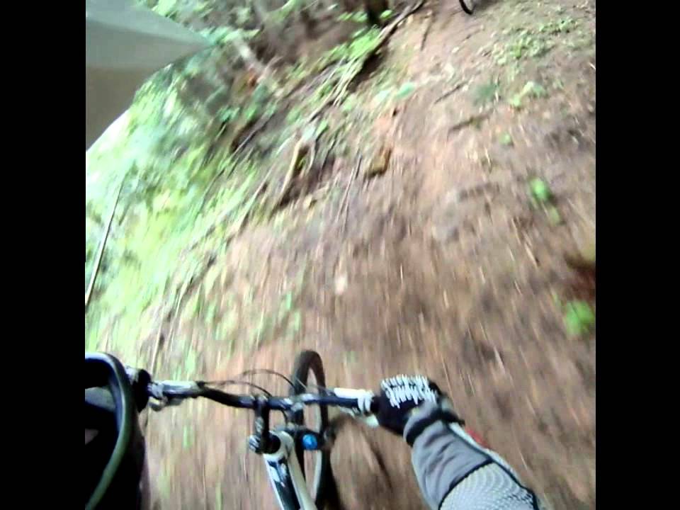 Fernie Mountain Bike Trails: Snake Bite - YouTube