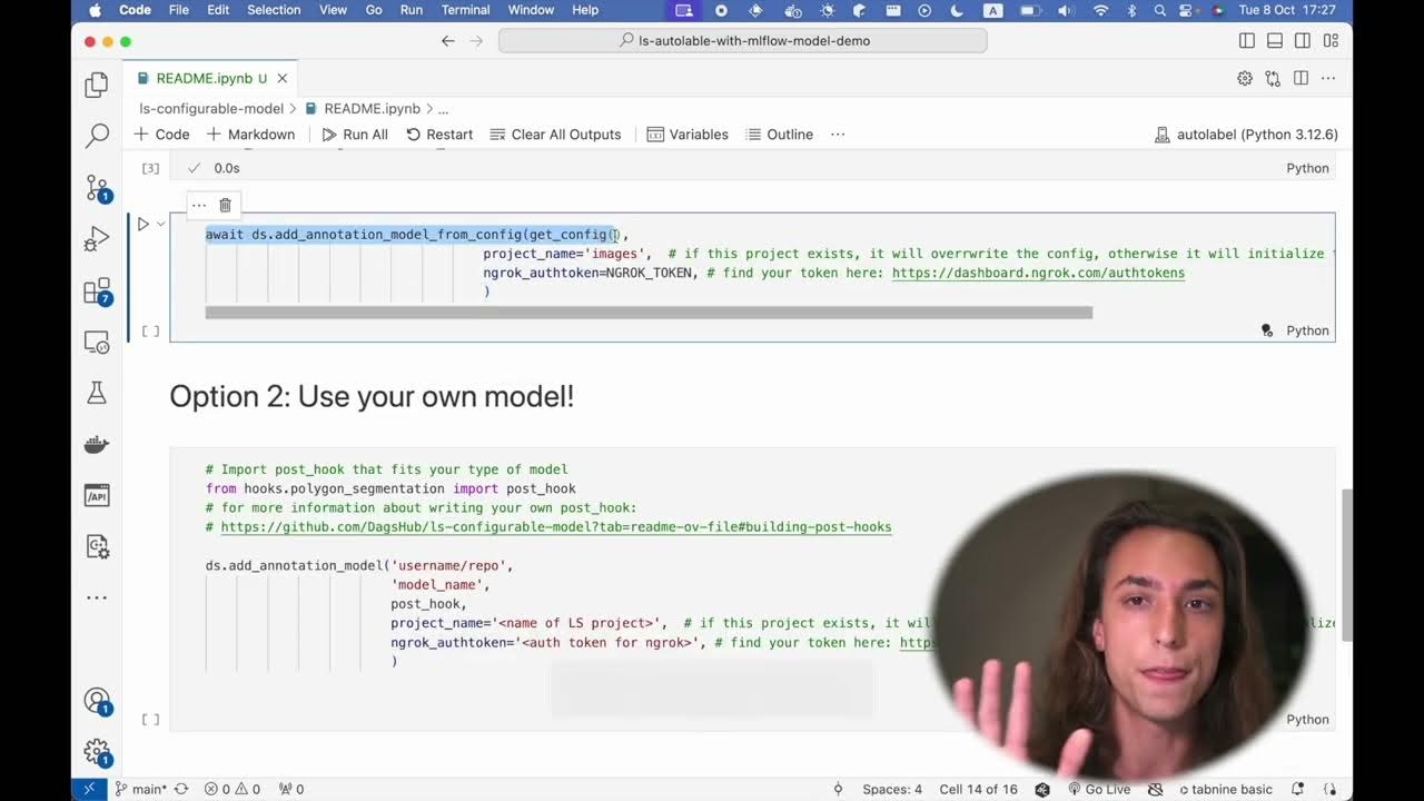 Open Source Auto-labeling with custom MLflow Models and Label Studio ...
