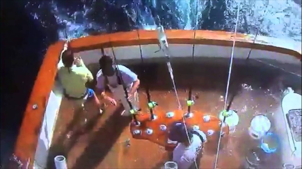 Reel Jane Deep Sea Fishing - YouTube