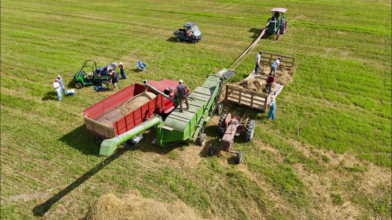 Harvesting oats the hard way! - YouTube