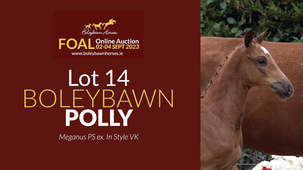 Lot 14 - Boleybawn Polly: Meganus PS ex. In Style Vk - YouTube
