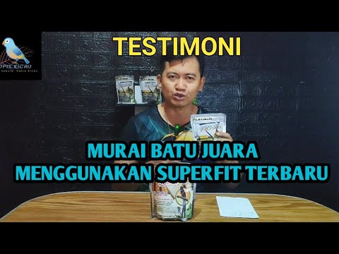 REACTION AND TESTIMONI VOUR SUPERFIT FIGHTER DAN PLATINUM UNTUK MURAI ...