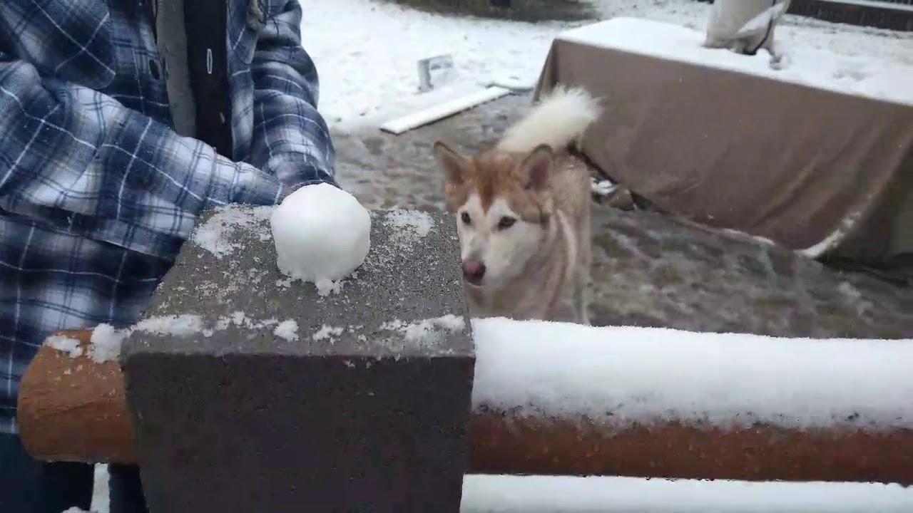 The birth and death of the Snowman - YouTube