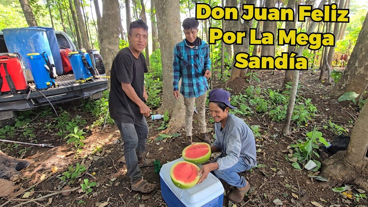 Don juan Queda Sorprendido Al Ver La Sandía Tan Grande y Roja - YouTube