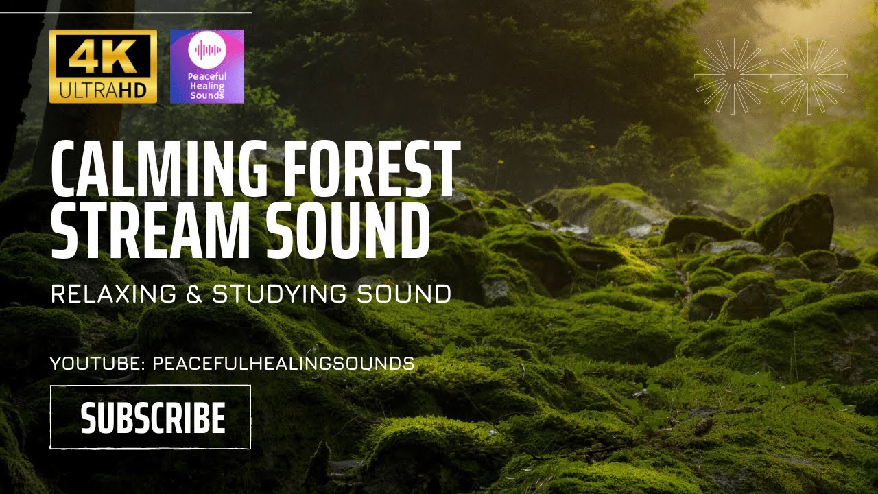 Calming Forest Stream Sounds for Relaxing and Studying - 2 Hours with ...