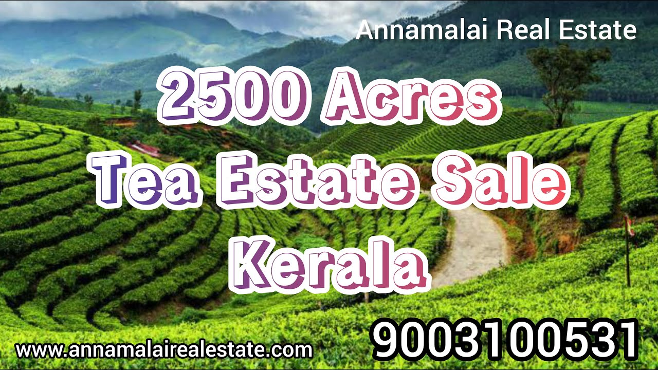 2500 Acres Tea Estate Sale in Kerala - Annamalai Real Estate - YouTube