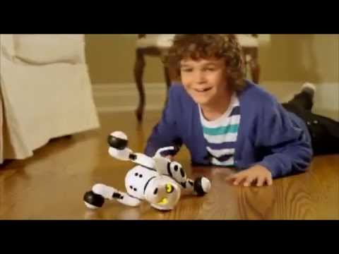 Zoomer Dog Зуммер собака - YouTube