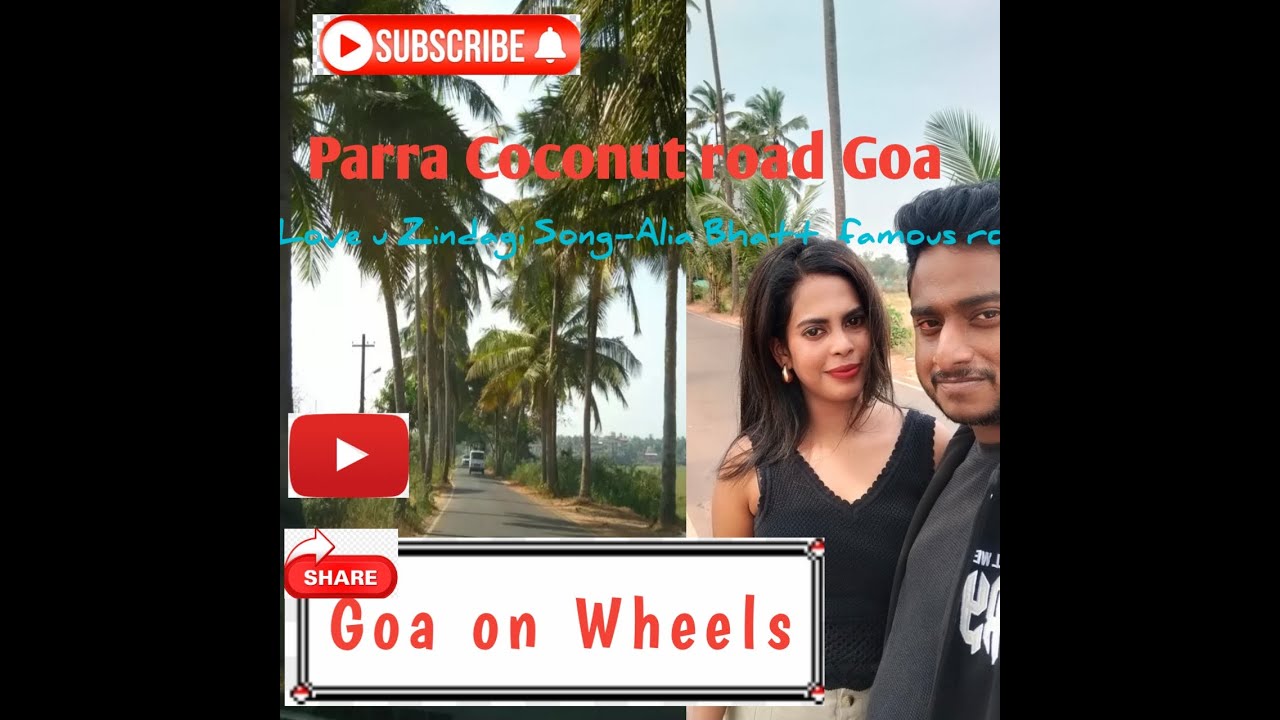 Parra Coconut road Goa 🌴 🛣️🥰 Famous road in Goa for photo-shoot📸📹🤳🎥 ...