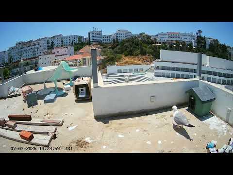 24h Daily Recap - Tangier Panoramic (2026-07-03)
