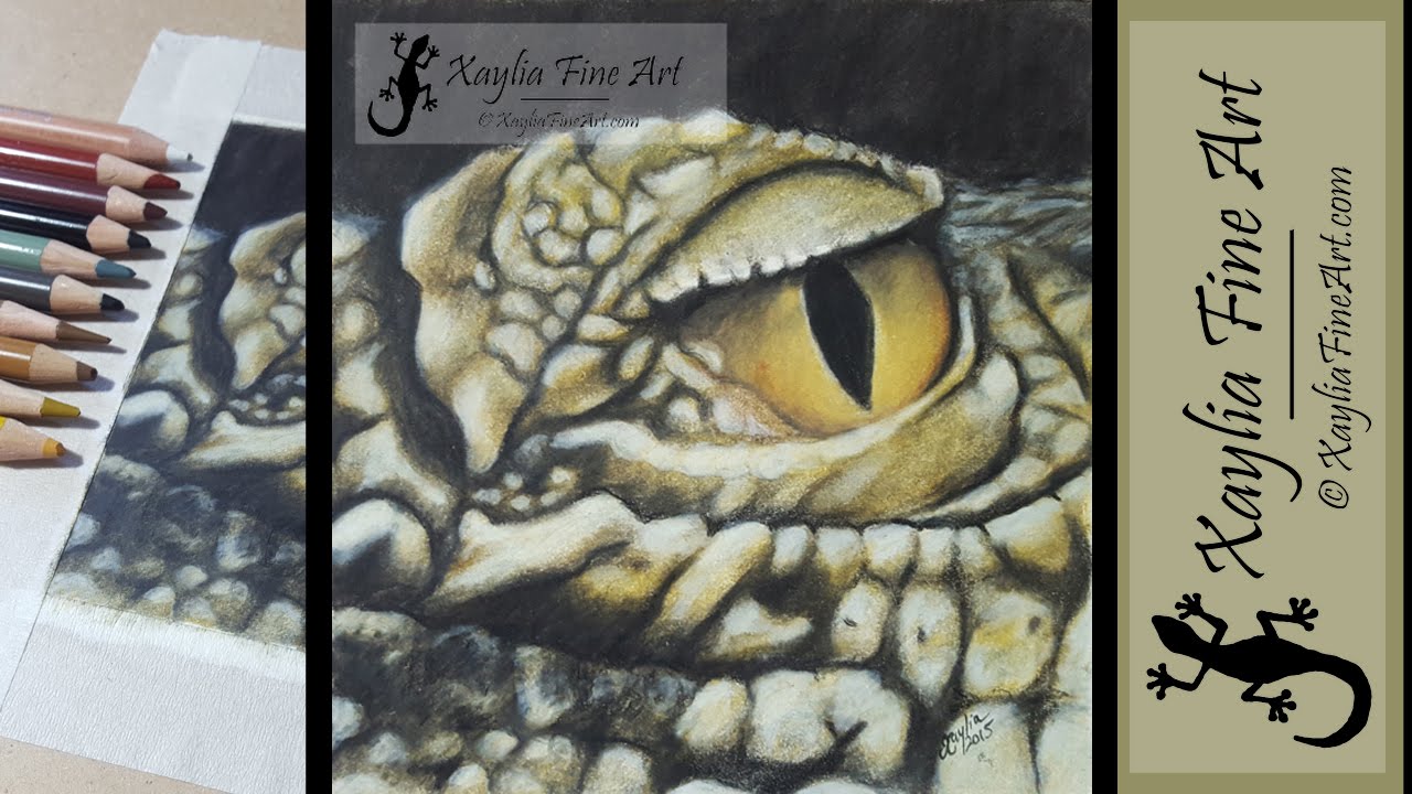 Tutorial: Crocodile Eye in Coloured Pencils - YouTube