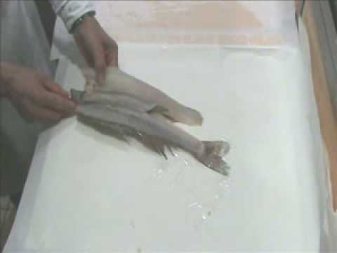 Zander filetieren - so wird's gemacht - YouTube