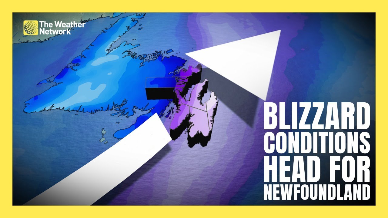 Blizzard Conditions Forecast Across Parts of Newfoundland | #forecast ...