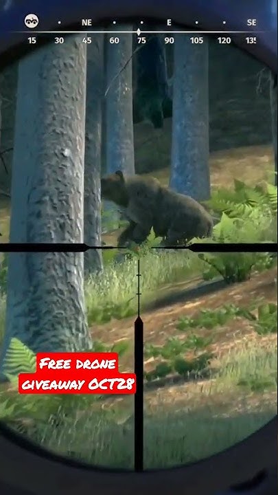 Remington .270 vs. Brown Bear /Way of the Hunter - YouTube