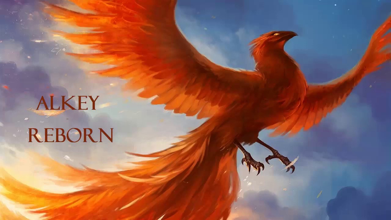 Alkey - Reborn - YouTube