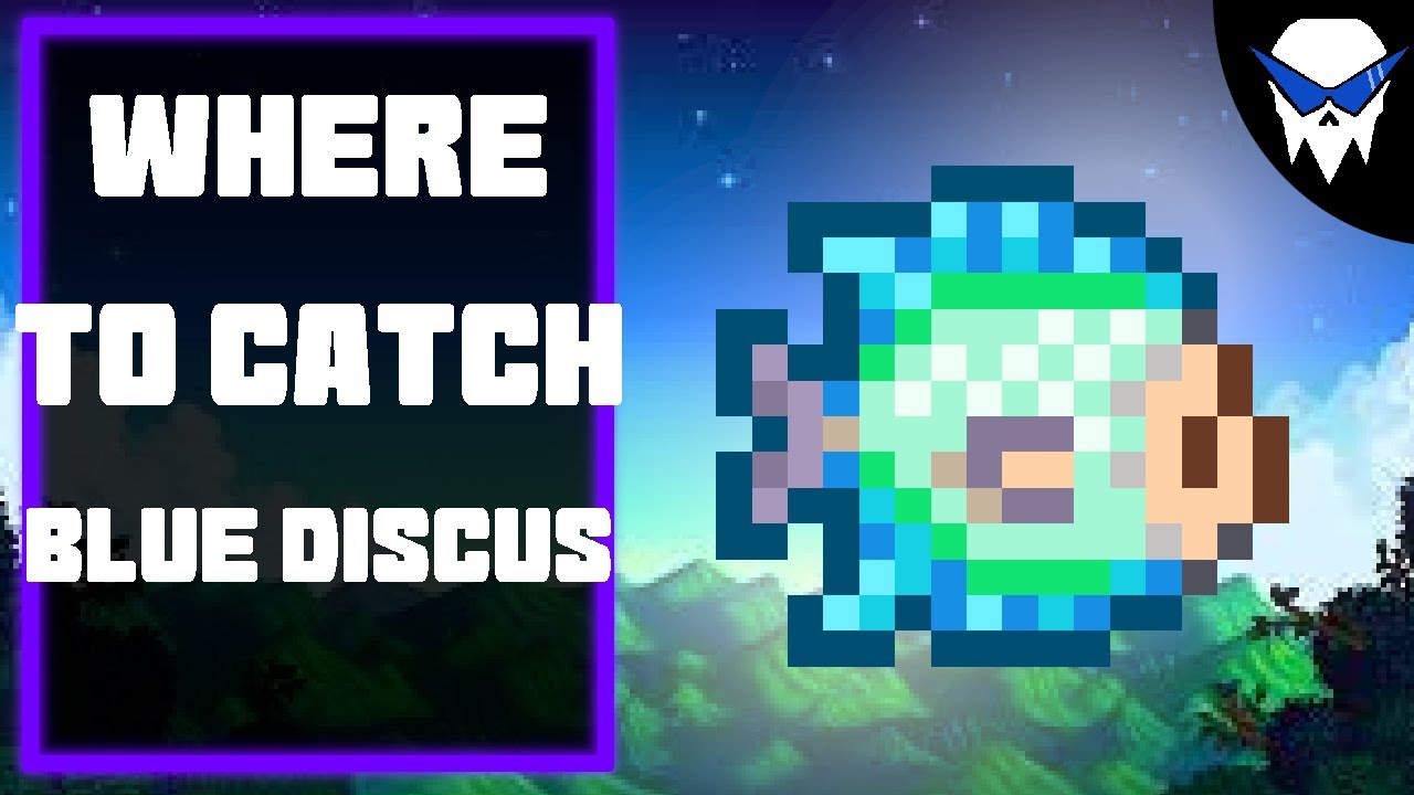 Stardew Valley – How to Catch Blue Discus (Best Spots & Simple Tips ...