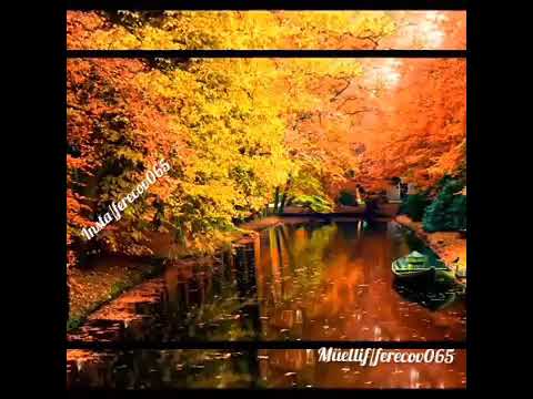 #BU GECE YUXUNA QONAQ GELECEM