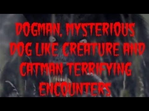 DOGMAN, DOG LIKE CREATURE AND CATMAN TERRIFYING ENCOUNTERS - YouTube