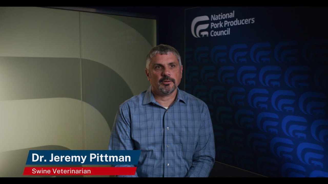 Dr. Pittman Explains the Veterinary-Client Patient Relationship - YouTube