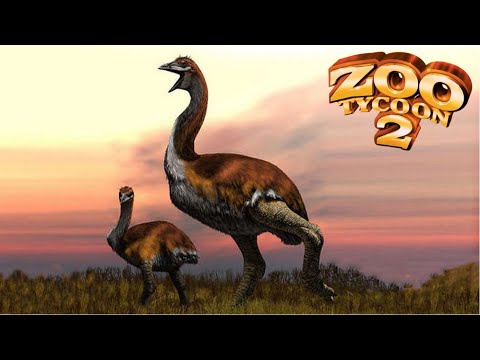Elephant Bird Exhibit Speed Build - Zoo Tycoon 2 - YouTube