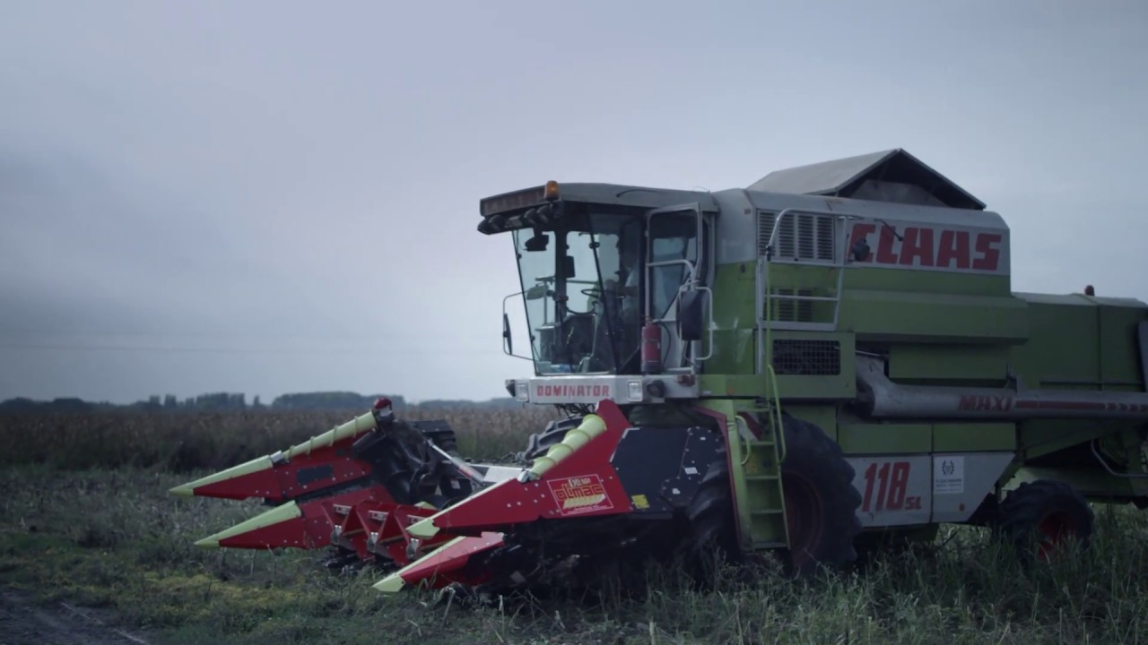 Olimac Drago 2 Sunflower Harvest - YouTube