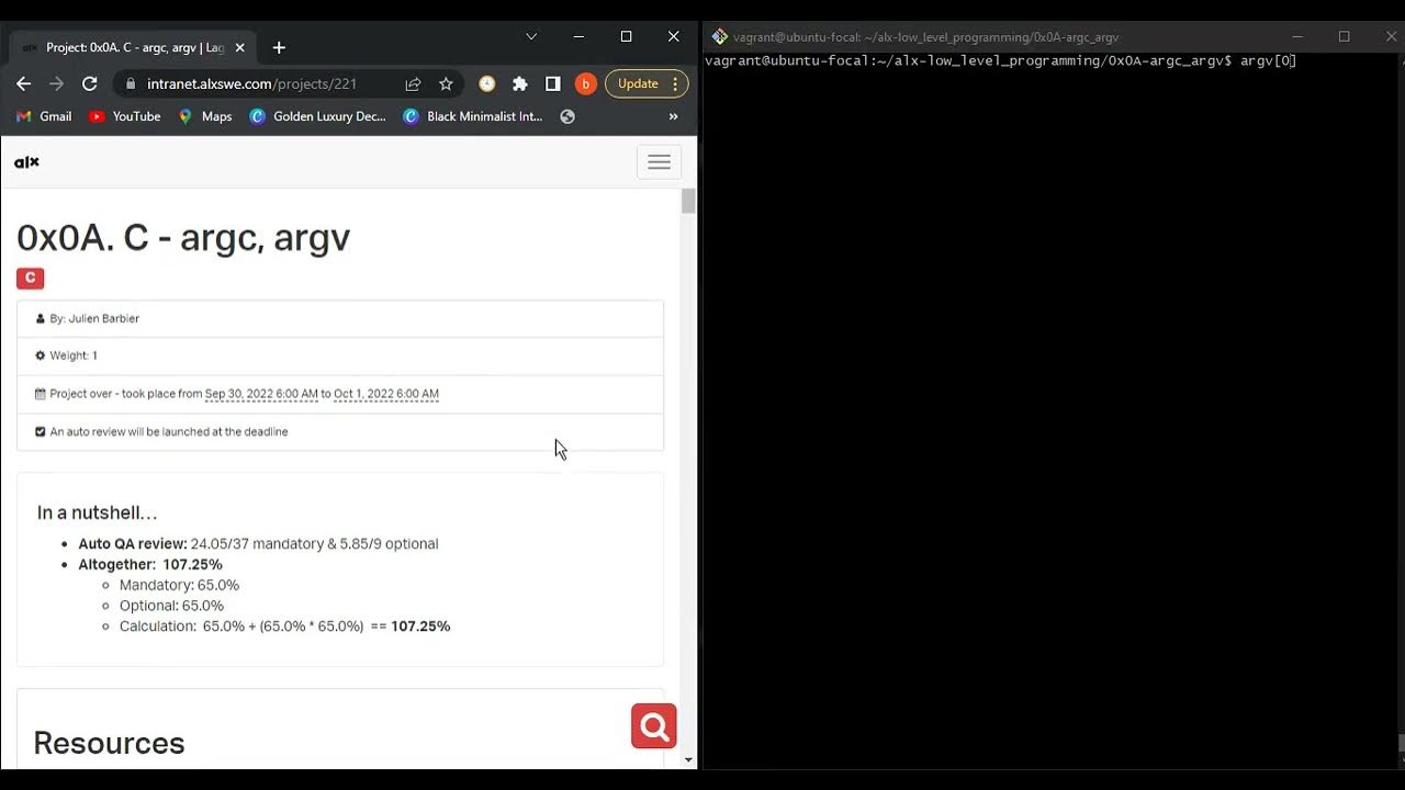 Learn to Code Now: The Basics of c argc and argv Revealed! - YouTube