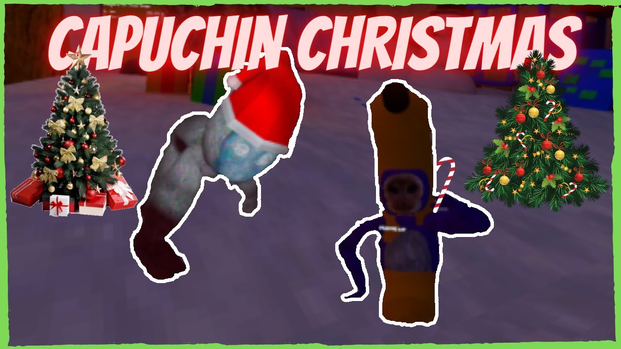 Capuchin Christmas Update.. - YouTube