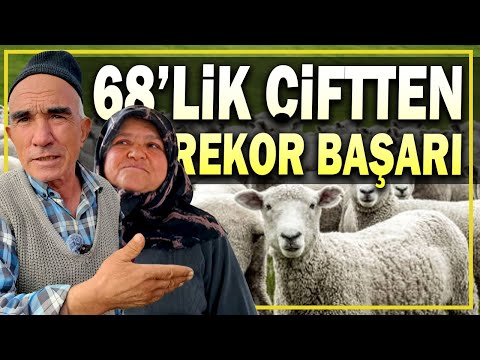 68 Yaşında Rekor Başarı! 100 Koyundan 200 Kuzu Aldı - Koyundan Kazanmanın Sırrını Anlattı