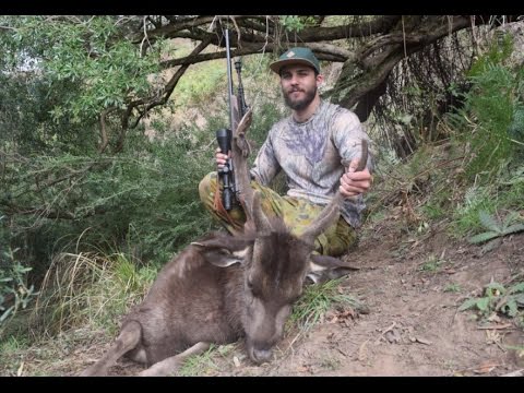Deer Hunting in the Vic High Country - YouTube