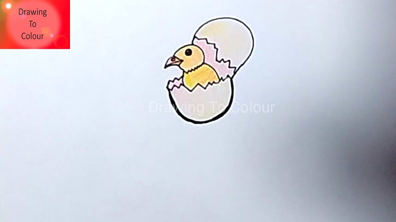 Chick in Egg Drawing Easy Step by Step | How To Draw a Chick in Egg ...