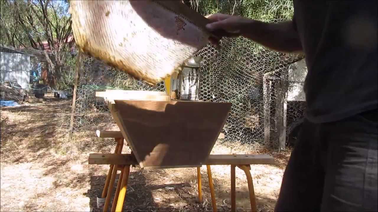 TBH Happy hive Inspection - YouTube