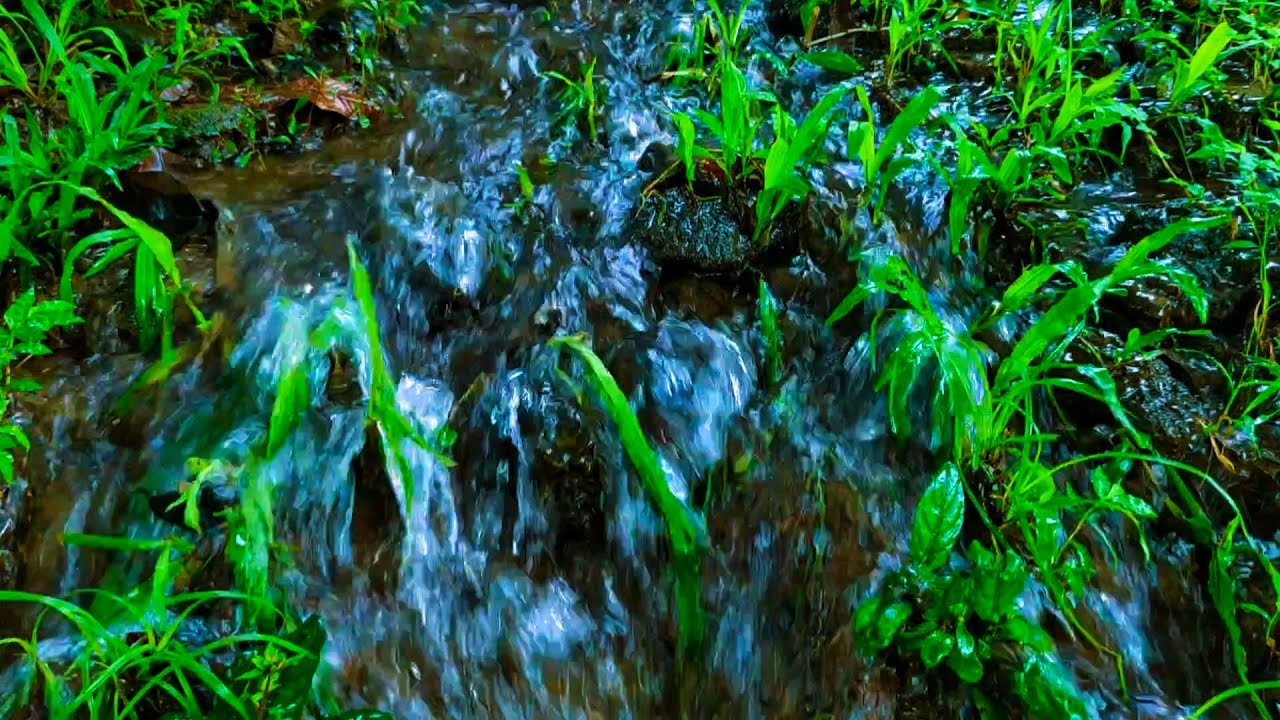 Peaceful River Flow for Relaxing Your Thoughts and Sleeping Well - YouTube