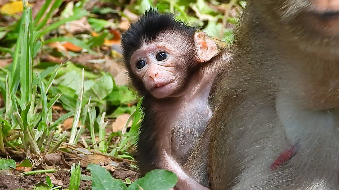 0176 Cute Draya - YouTube