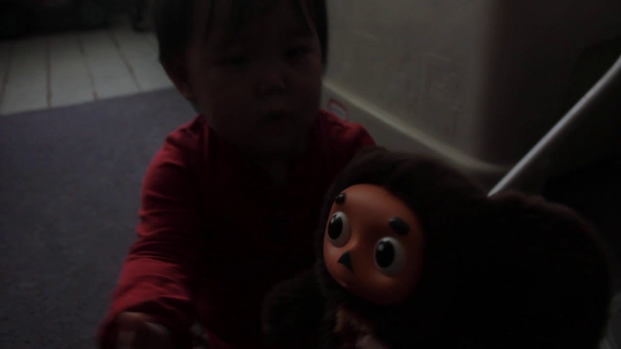 Bishka is playing with chebarushka - YouTube