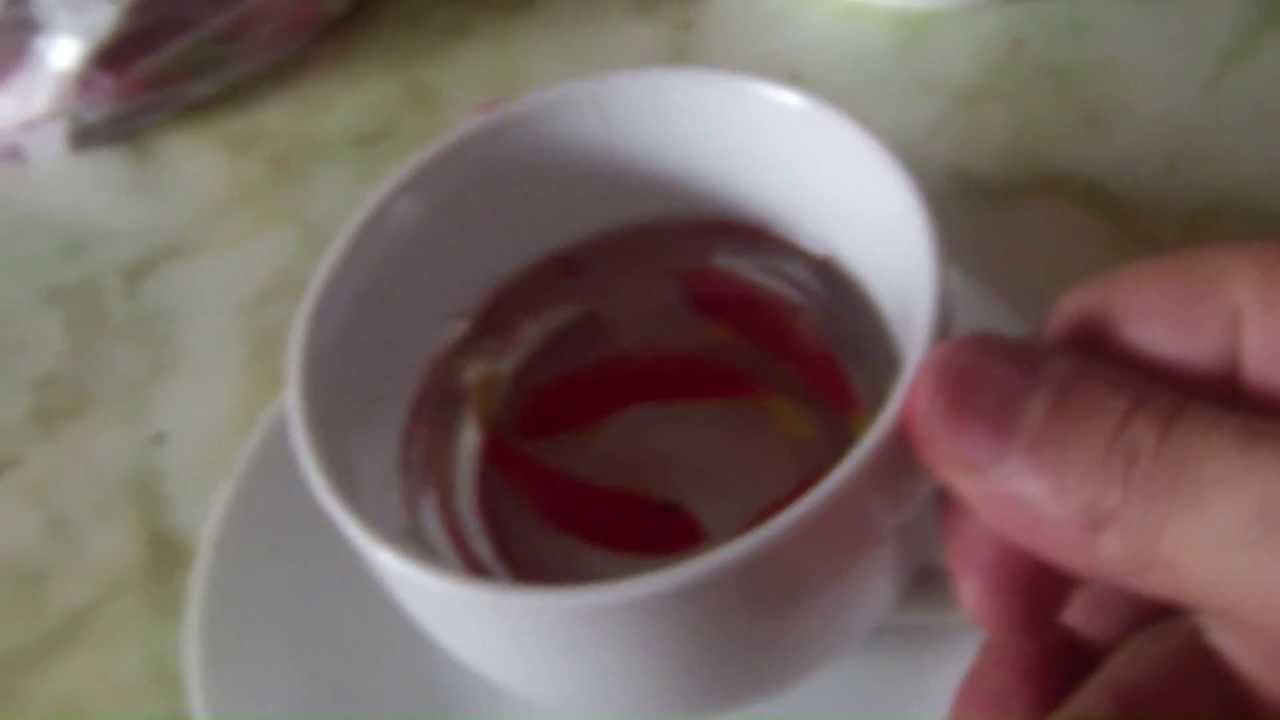drinking goldfish - YouTube