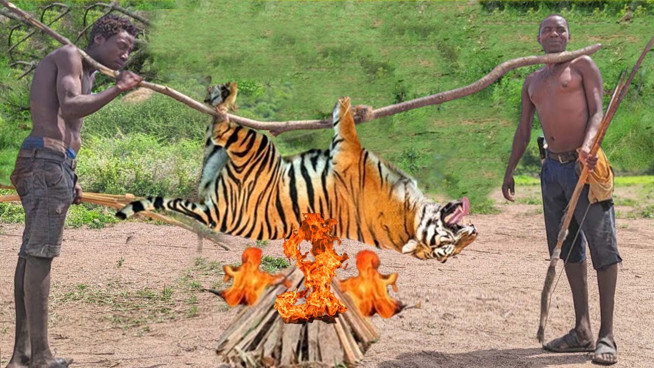 Tiger's Brave Hunt In Aboriginal Territory Ends In Tragedy - Posing ...