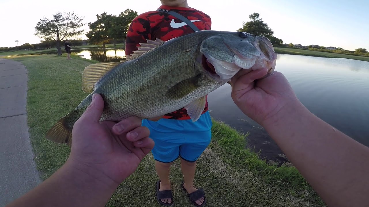 Fishing Golf Course and Urban ponds - YouTube